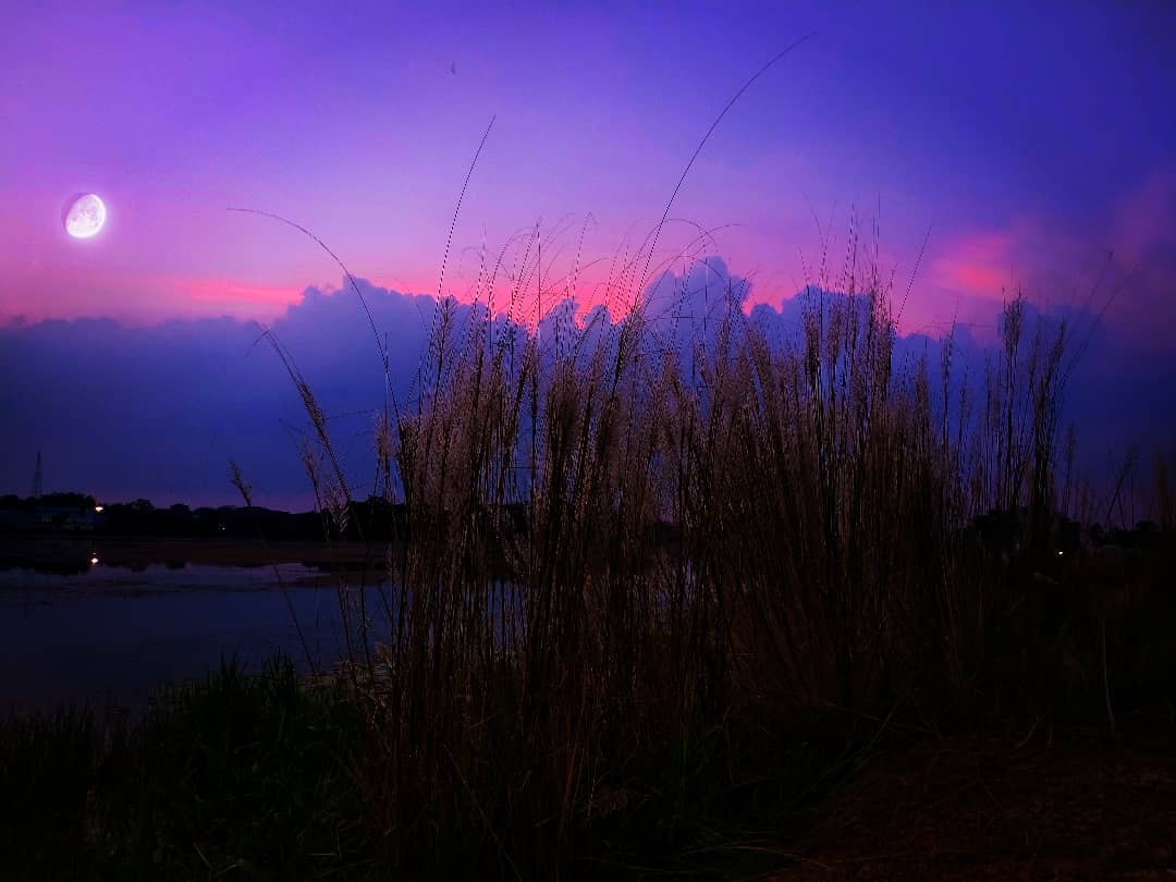 Moodchallenger | Gallery