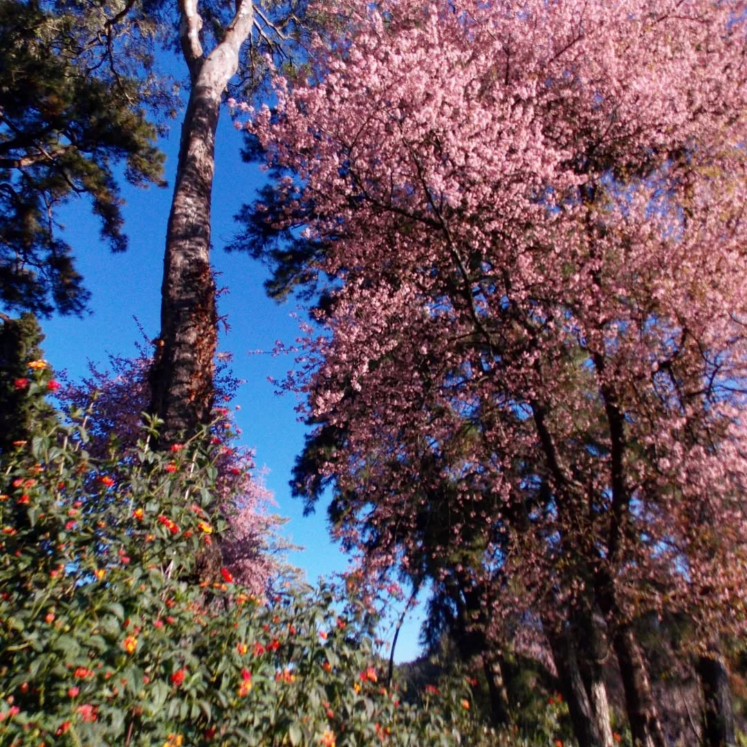 Moodchallenger | Gallery